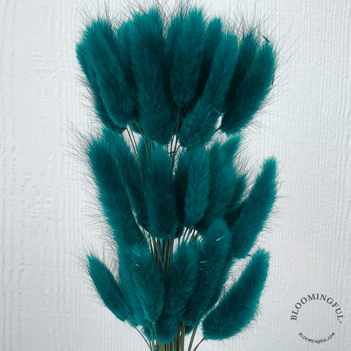 Dried Bunny Tails - Dark Peacock Teal Blue (138) – BLOOMINGFUL.COM