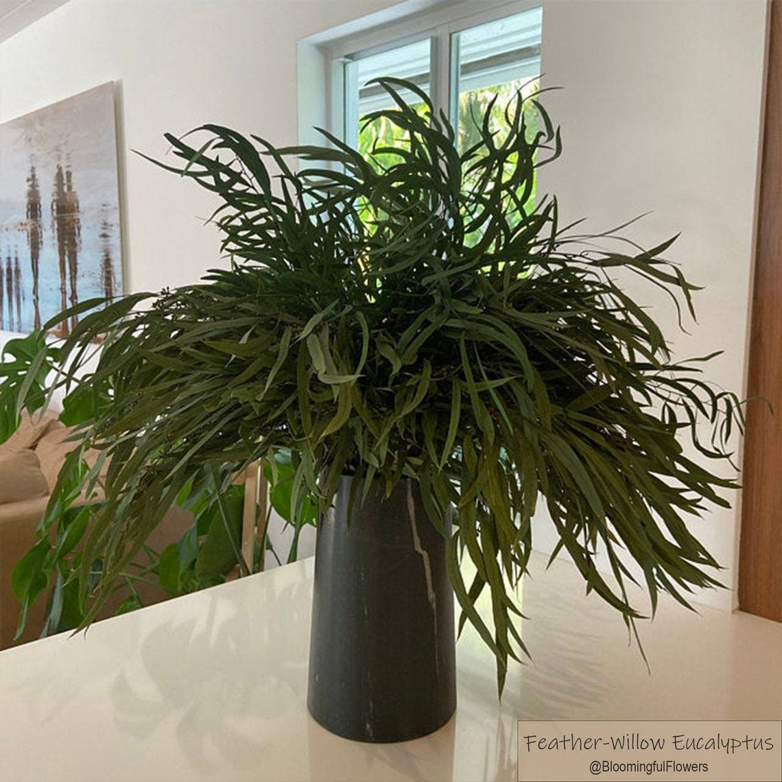 BULK BOX: Preserved Feather-Willow Eucalyptus - Green (20-30stems ...