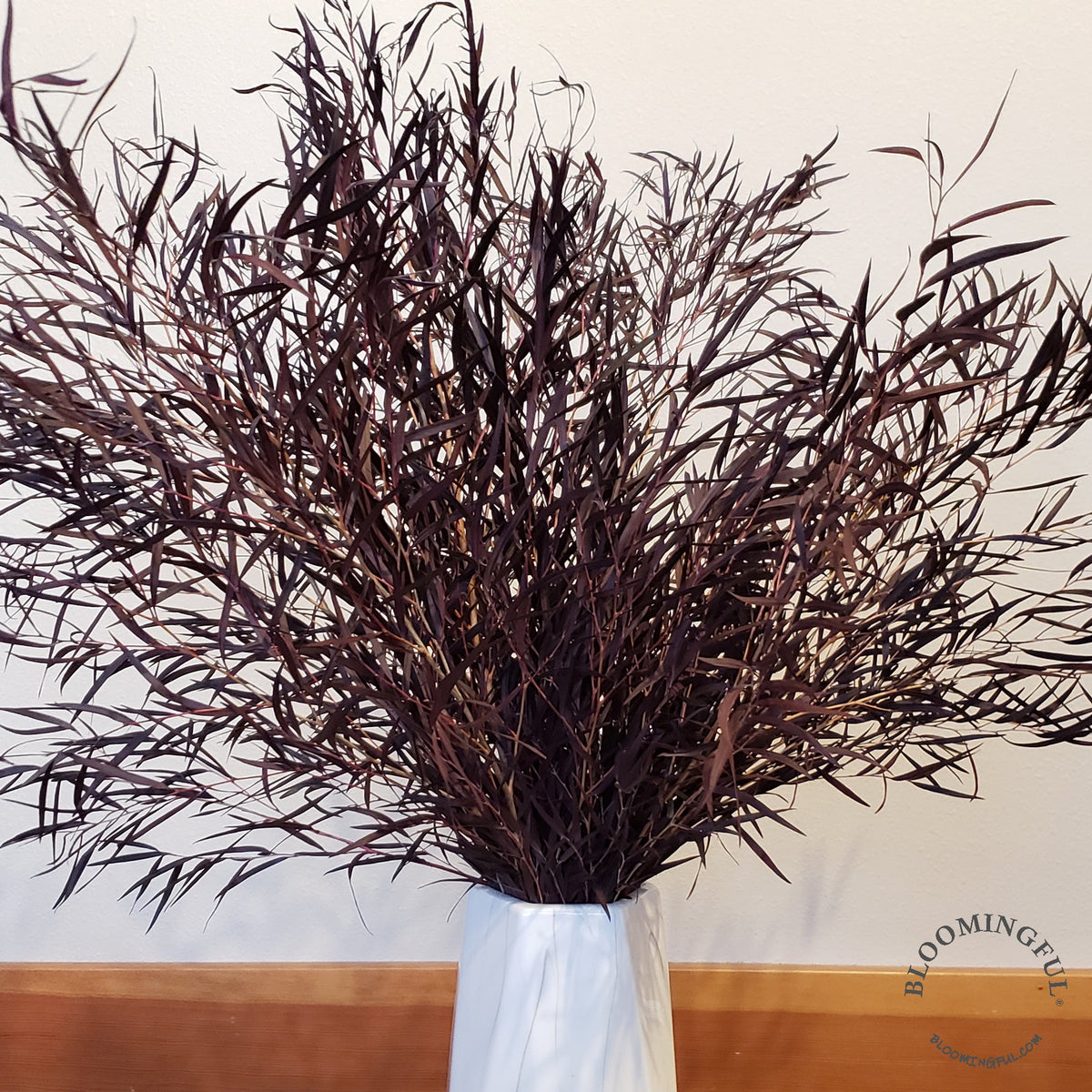 Preserved Agonis - Burgundy – BLOOMINGFUL.COM