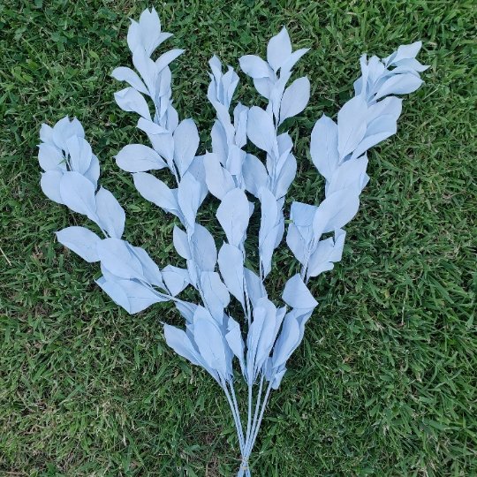 Preserved Israeli Ruscus [Light Blue] – BLOOMINGFUL.COM