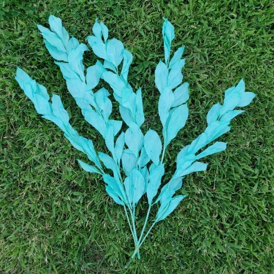 Preserved Israeli Ruscus [Tiffany Blue] – BLOOMINGFUL.COM