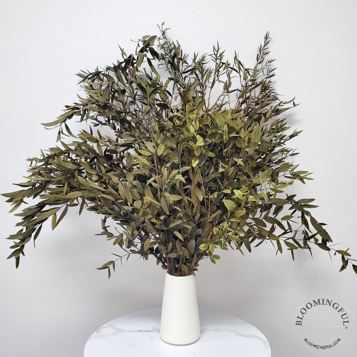 Preserved Parvifolia Eucalyptus - Olive Green – BLOOMINGFUL.COM